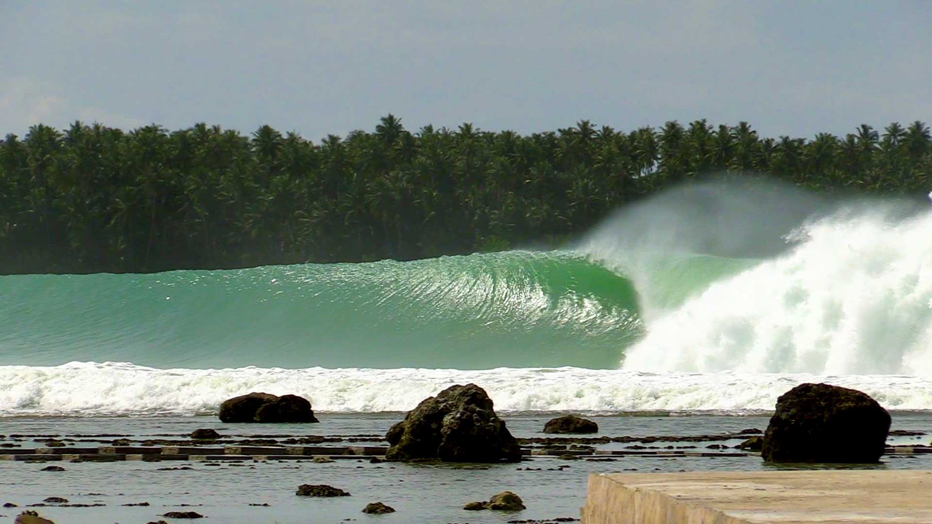 NIAS "LE MEILLEUR SURF DE NOTRE VIE" - RIPITUP